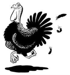 Peter Puck Alias RUDI: Abseits der Alben