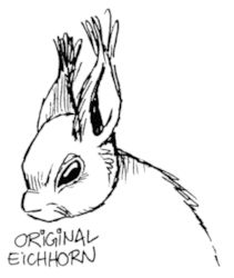 Peter Puck Alias RUDI: Abseits der Alben